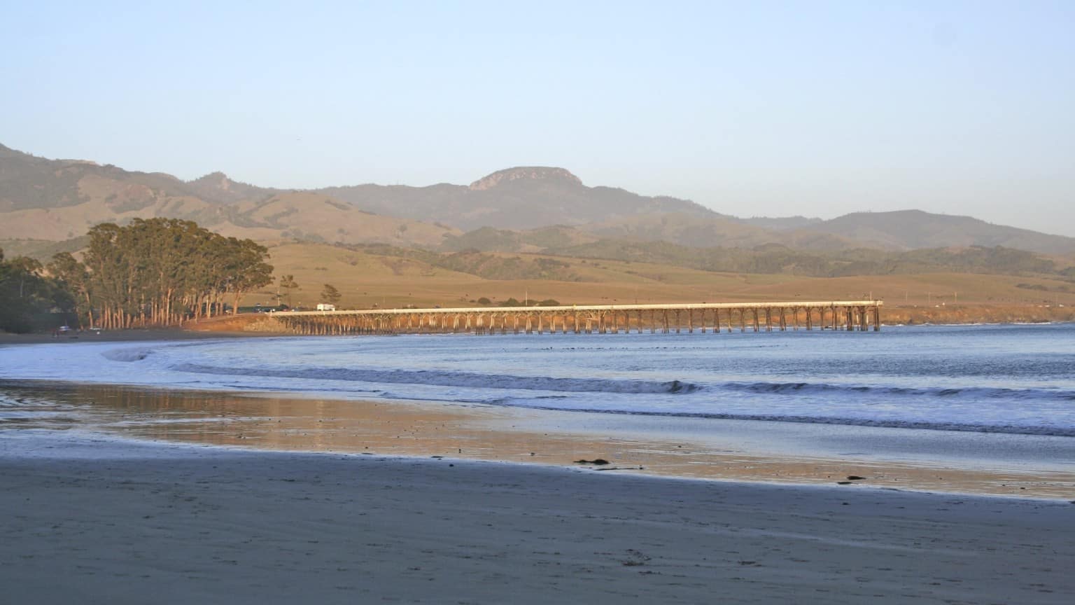 Surf and Woof at Point Reyes