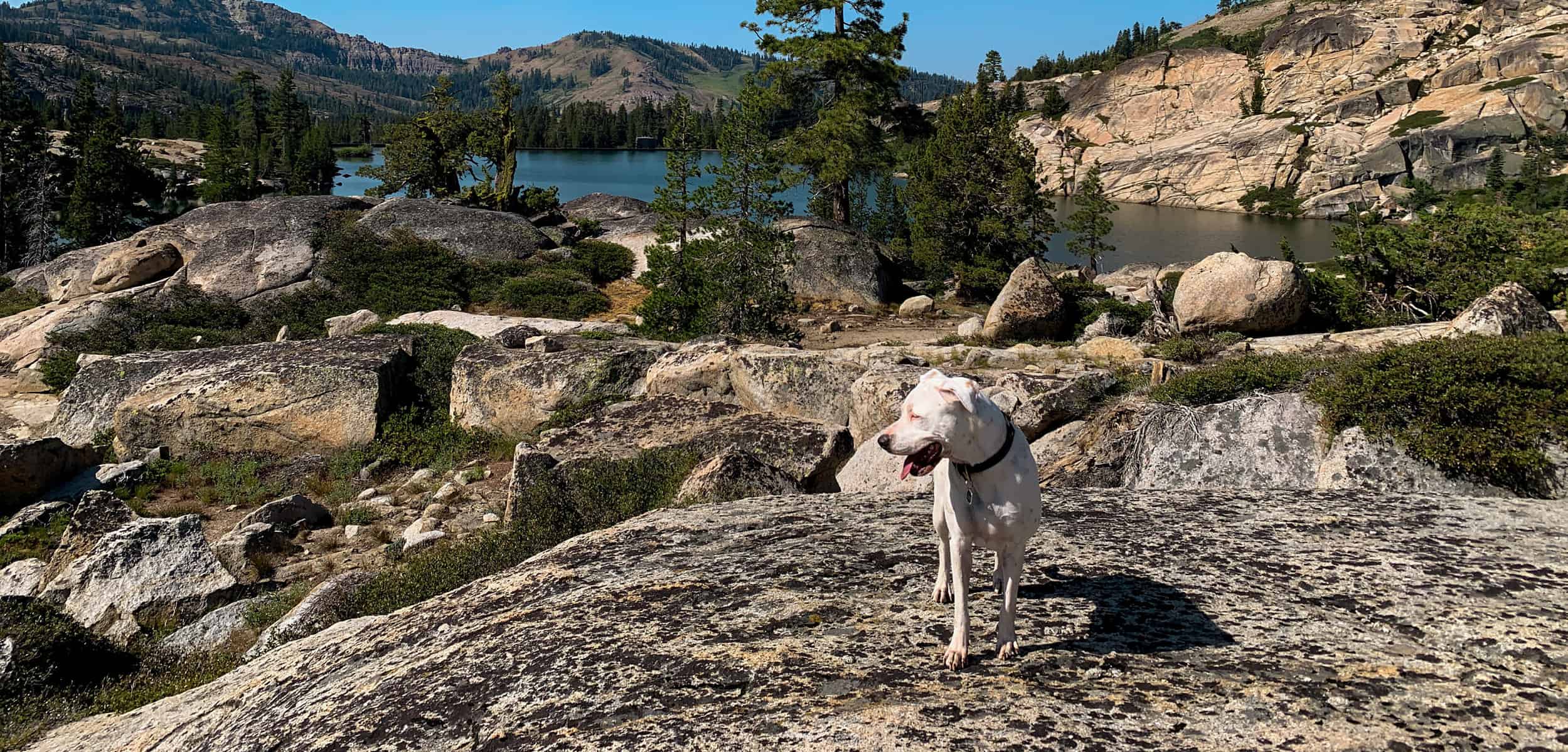 Donner Lake Rim Trail