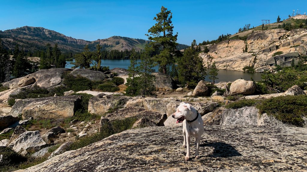 Donner Lake Rim Trail