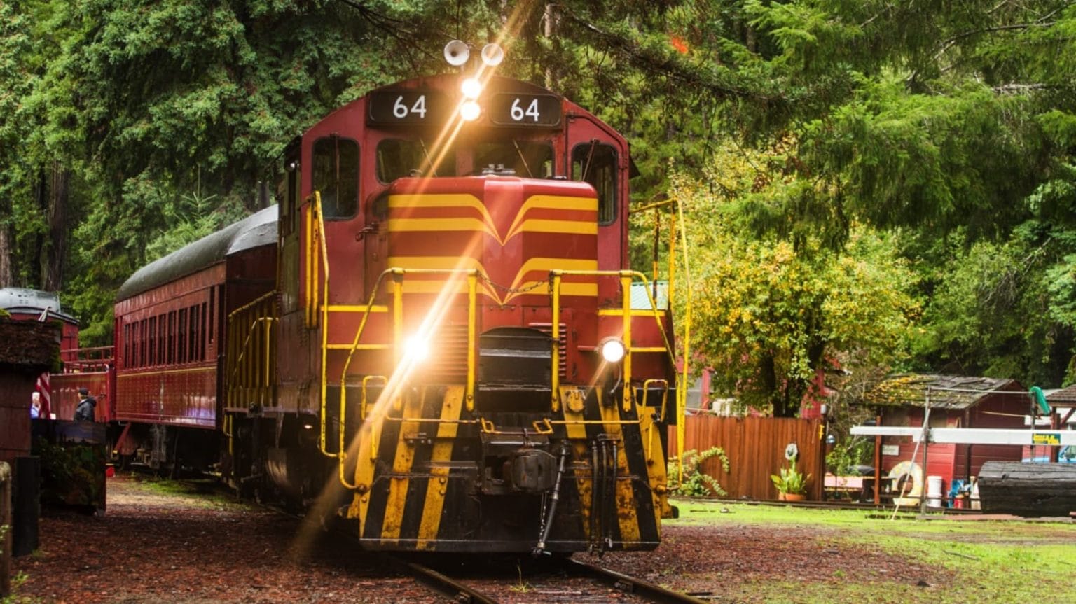 The Skunk Train: Take a dog-friendly train ride in California