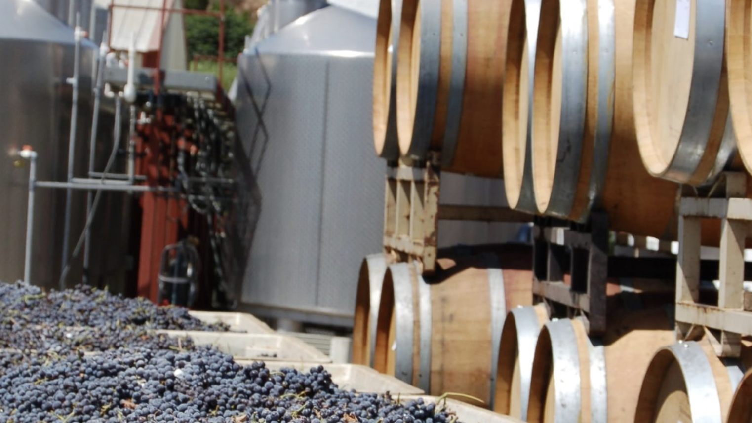 Leoness Cellars – DogTrekker