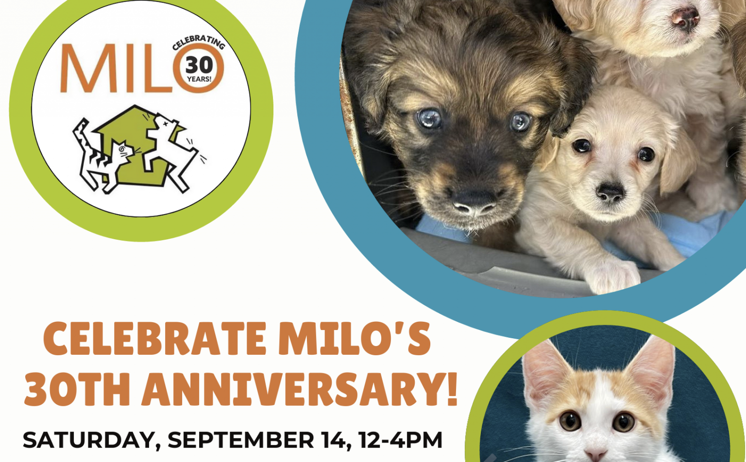 The Milo Foundation – DogTrekker