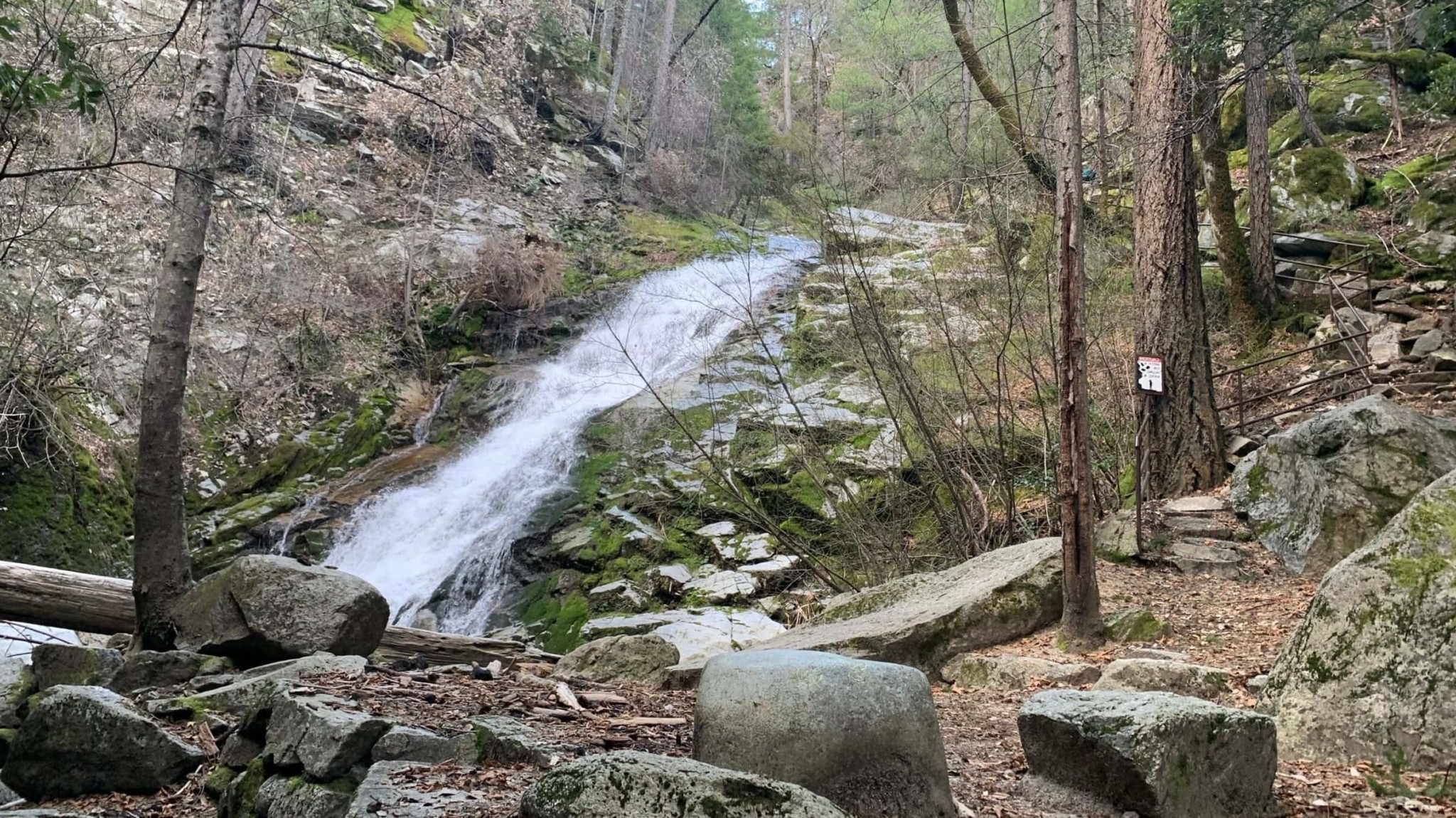 Dog-friendly waterfall hikes in our national parks – DogTrekker