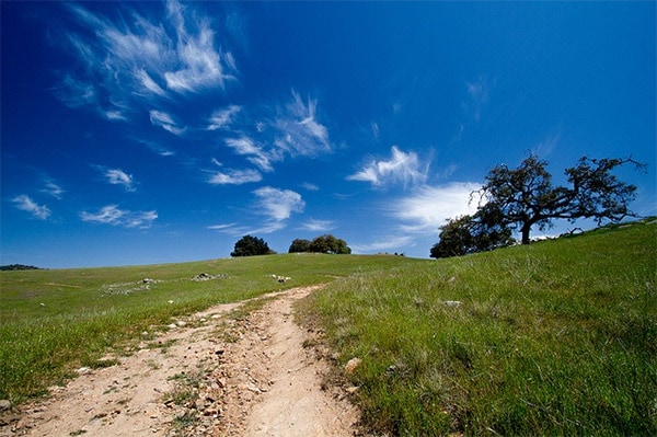 Dog-friendly Santa Ysabel Preserves