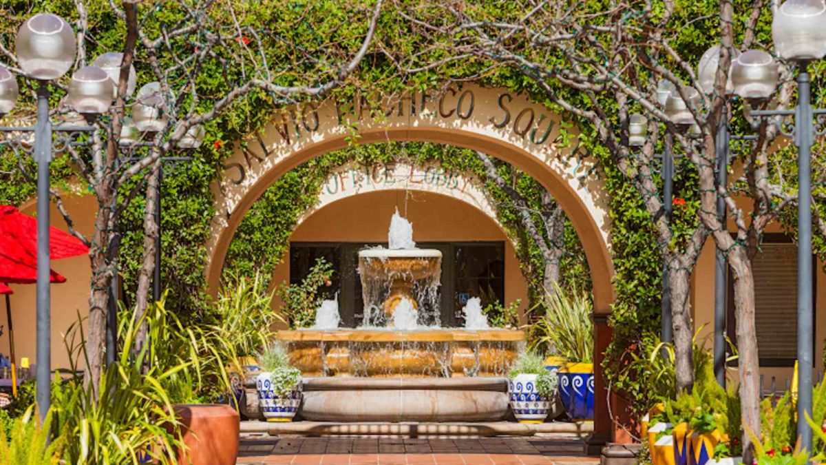 Where to eat in Concord – DogTrekker