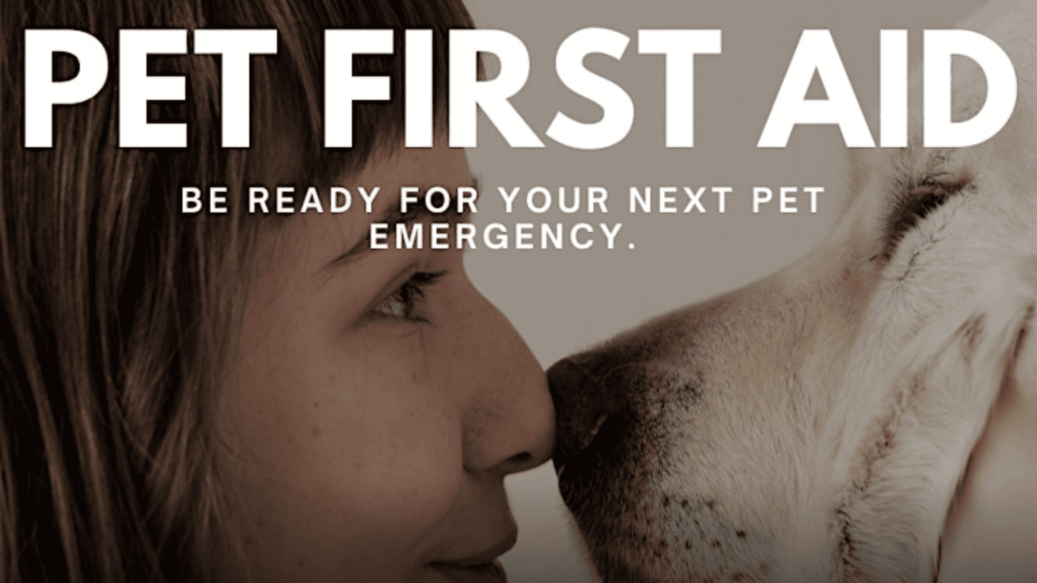 Pet First Aid Certification – DogTrekker