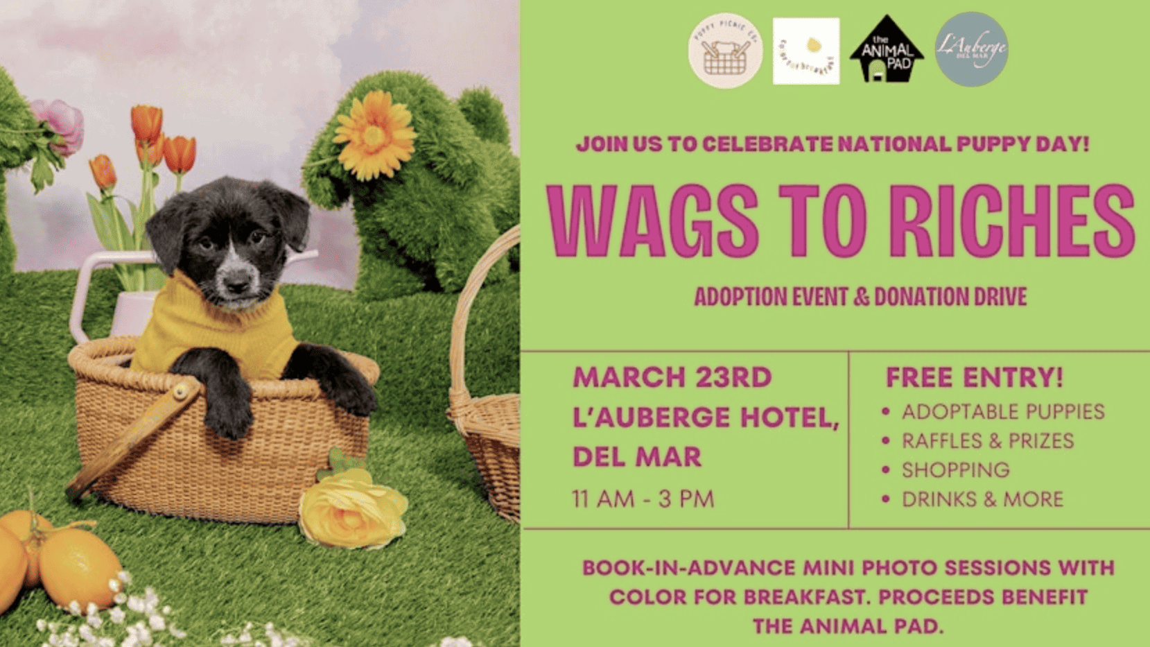 Wags To Riches - DogTrekker