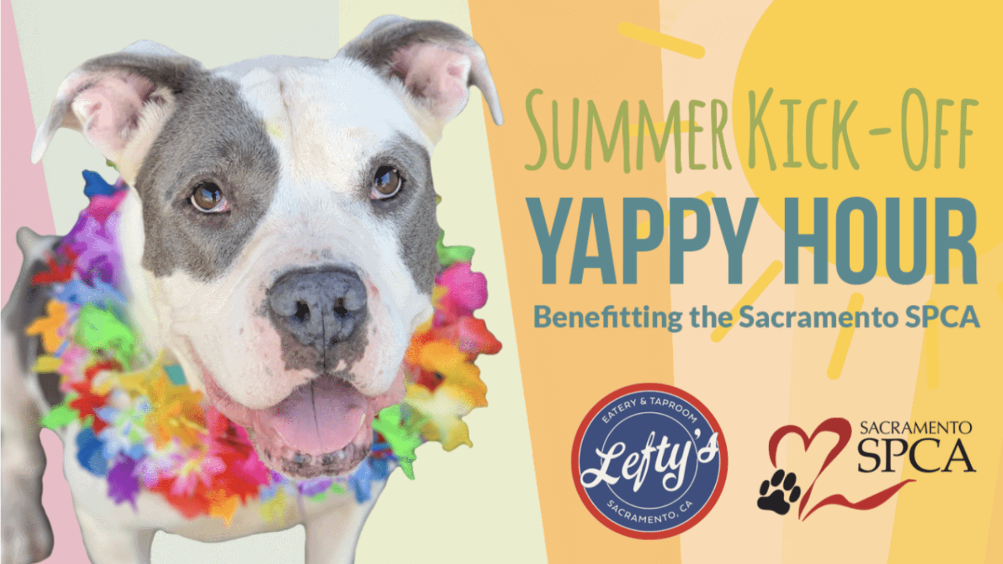 Summer Kick Off Yappy Hour – DogTrekker