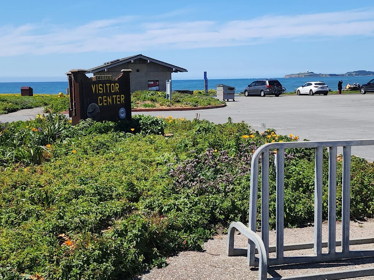 Francis Beach Campground - Dog-Friendly in Half Moon Bay | DogTrekker