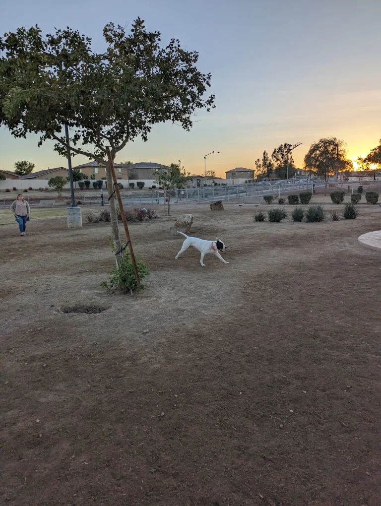Wags & Walks - Dog-Friendly in Los Angeles | DogTrekker